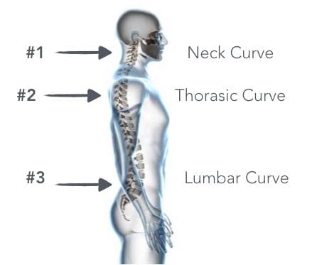 Spinally Correct | KillaPilla